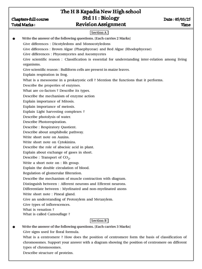 RevisionAssignment - D05 Mar 2025 | PDF | Neuron | Cell (Biology)