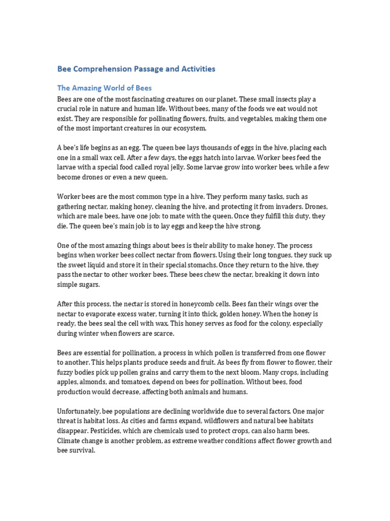 Bee_Comprehension_Passage_Final | PDF | Bees | Honey Bee
