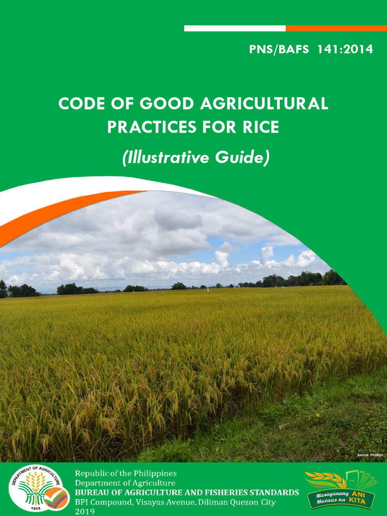 Good Agricultural Practices for Rice Guide | PDF | Rice | Agriculture