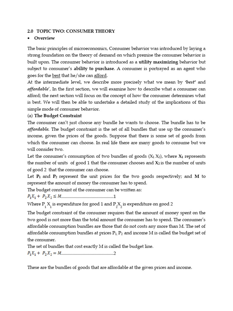 ECON 213 Topic 2 Consumer Theory | PDF | Utility | Economies
