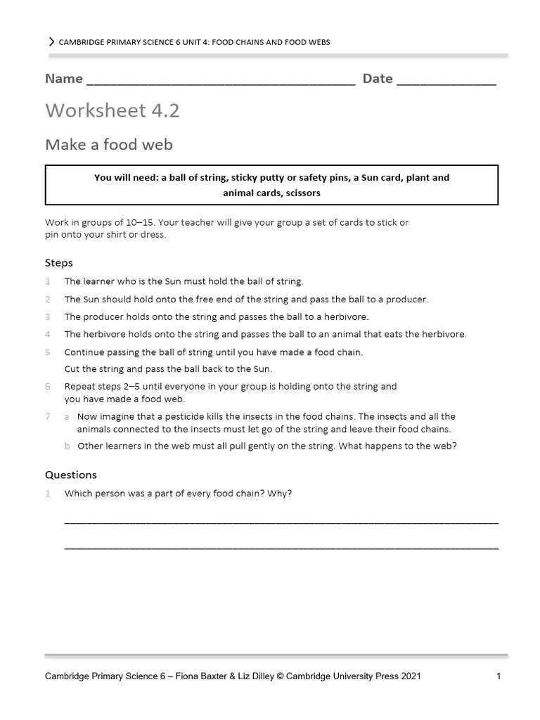 Food Web Activity Worksheet | PDF | Foods | Food Web
