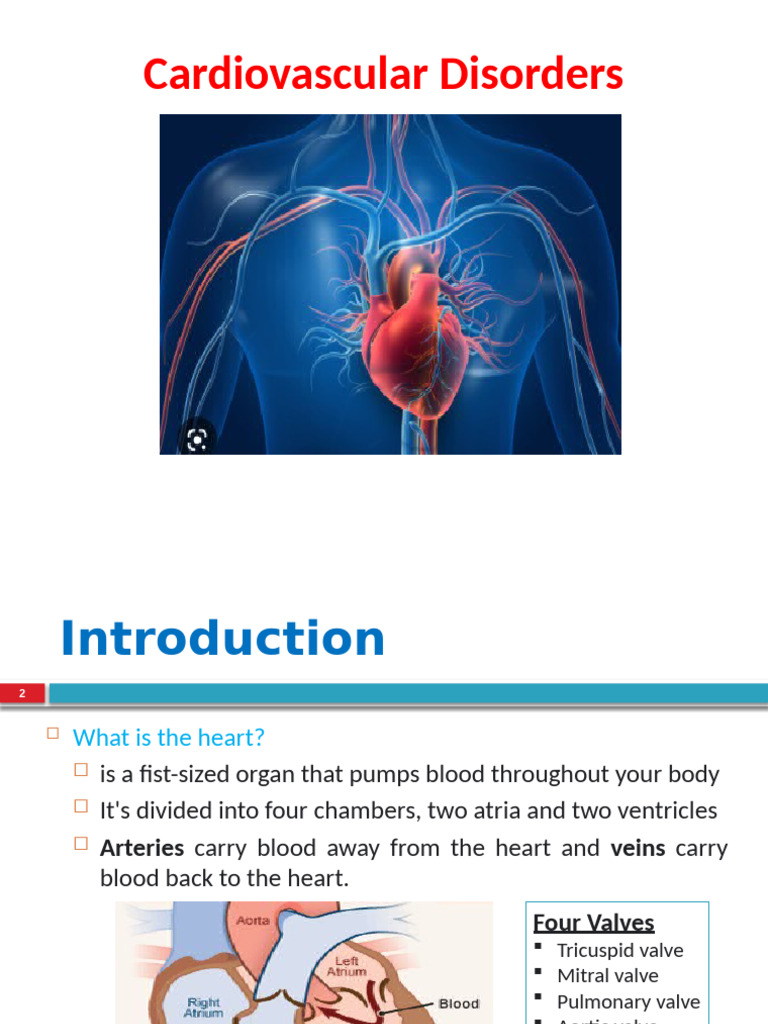 Understanding Cardiovascular Disorders | PDF | Heart Valve | Heart