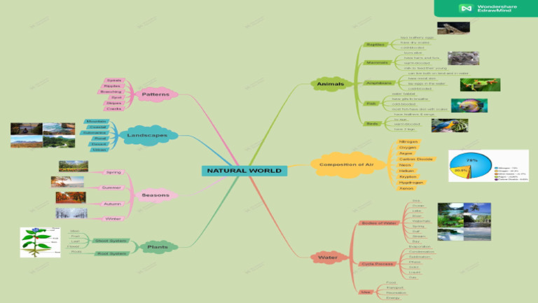 PD Natural World MIND MAPS | PDF