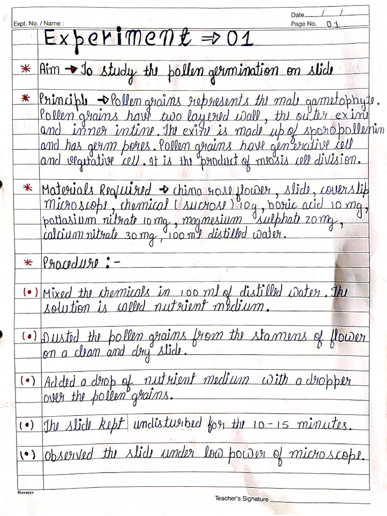 Botany Practicals | PDF