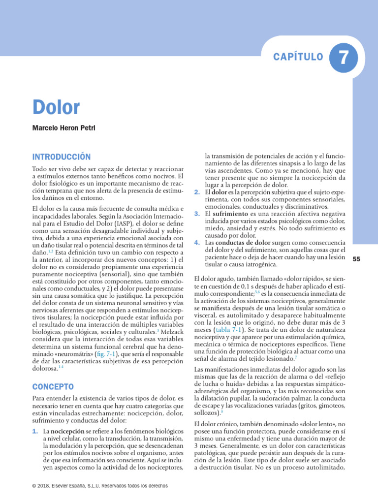CAP 7 | PDF | Dolor | Neurona