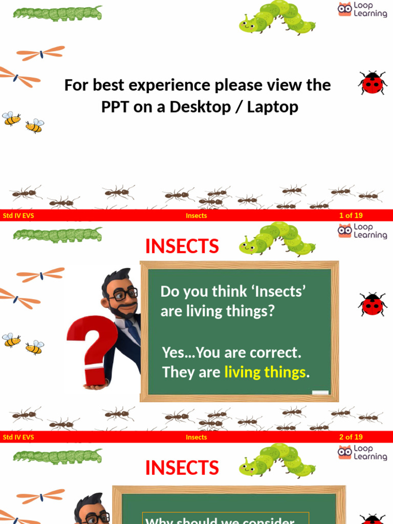 1724300398909.entry - Task - A1 - PA1.1 - OE - Insects - CH 4 - EVS ...