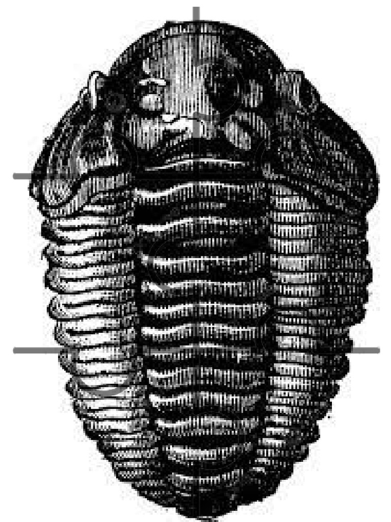 Jigsaw Puzzle Worksheet (1) | PDF