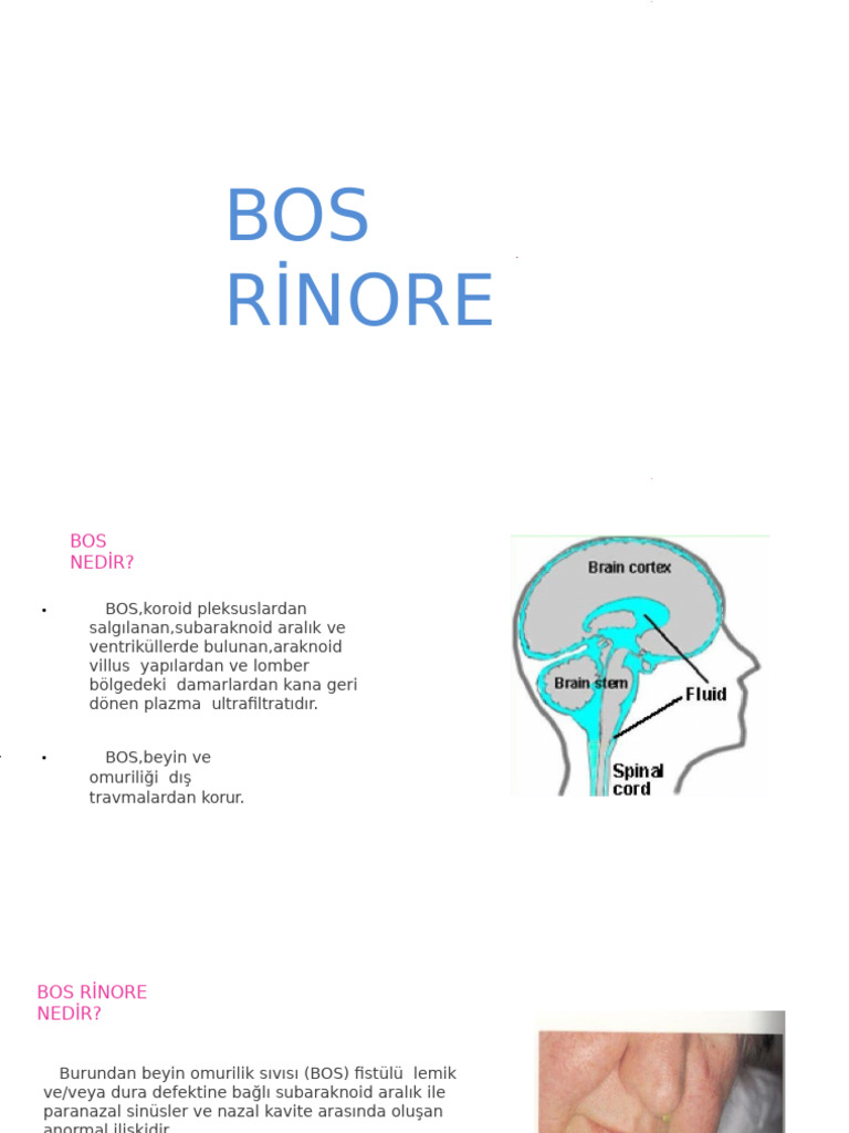 BOS RİNORE | PDF