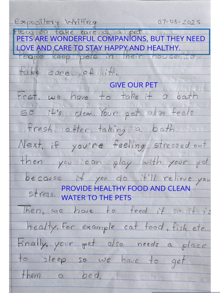 Expository Text - Taking Care of A Pet | PDF