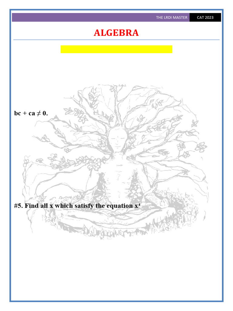 Algebra 30 - The LRDI Master | PDF | Equations | Algebra