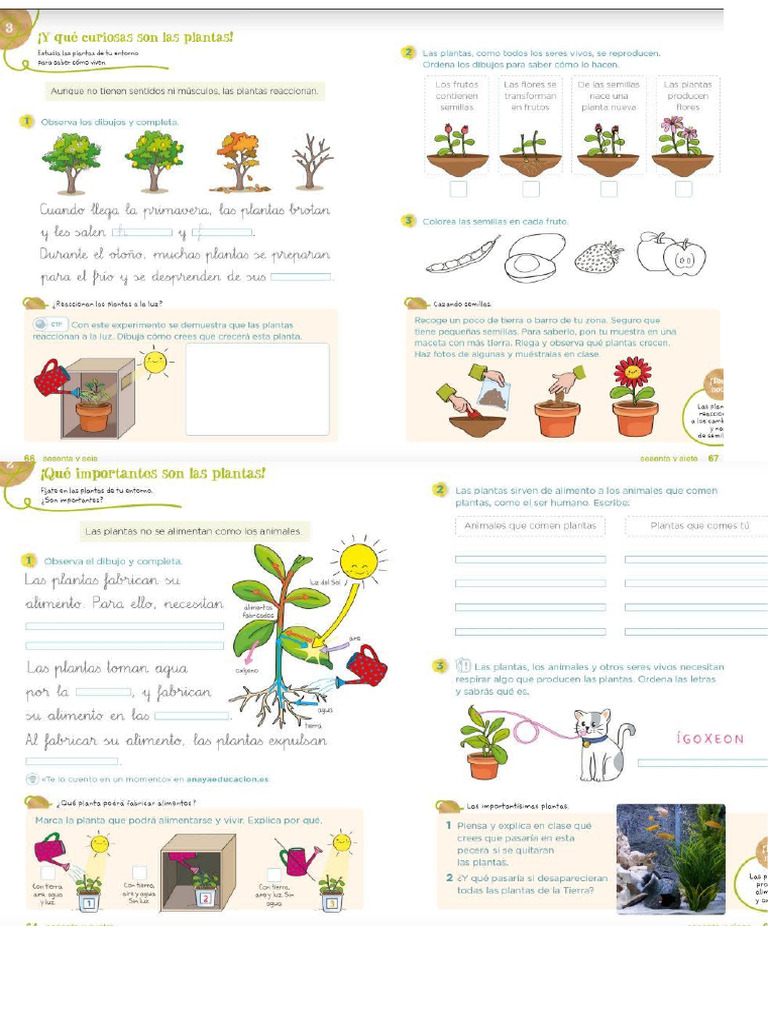 Repaso Tema 4 Natu 2º | PDF