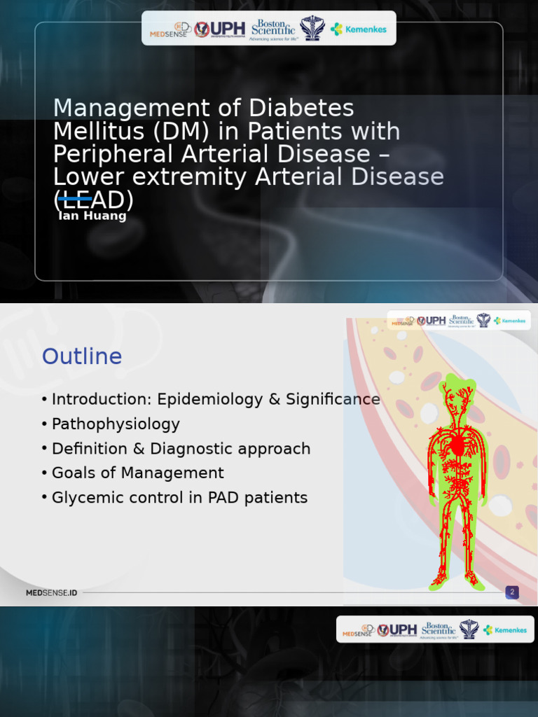 DM-LEAD-PAD Dengan Template | PDF | Diabetes | Diseases And Disorders