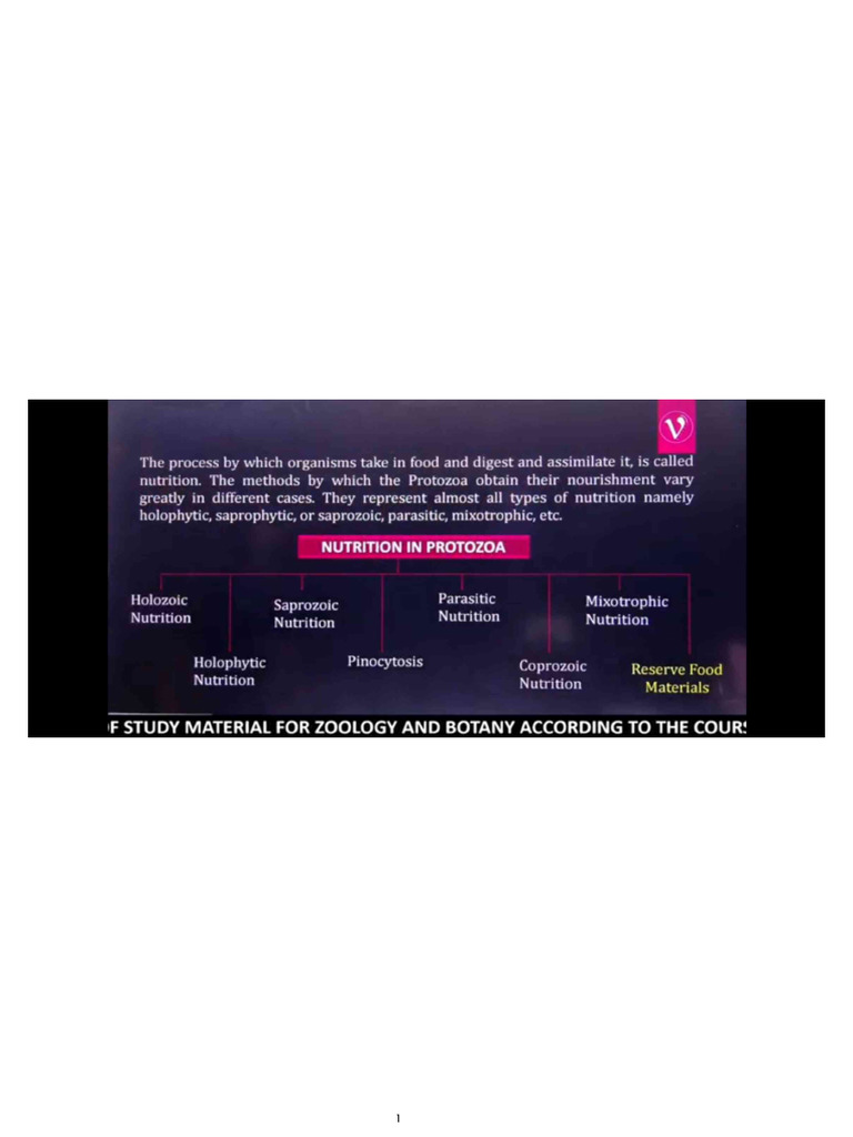 Nutrition Protozoa | PDF