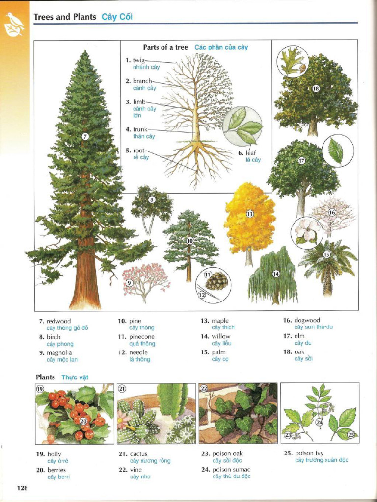10 Plants and Animals | PDF