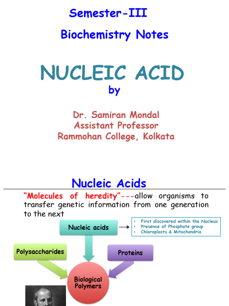 Nucleic Acids: Structure and Function | PDF | Nucleic Acids | Dna