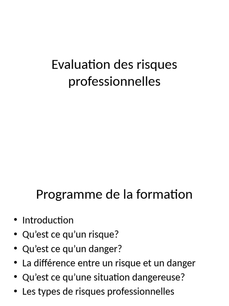 Formation Évaluation Des Risques | PDF