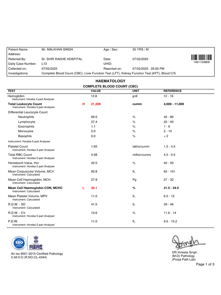 Labreport l13 MR - Malkhansingh30yrs M 09-02-202520250209 2 Ffcagl | PDF | White Blood Cell ...