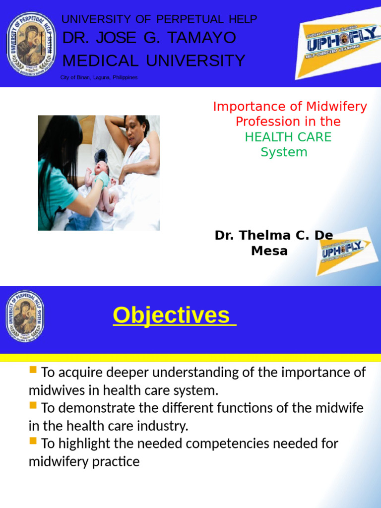 Imp of Midwifery Prof in HC System Submit | PDF | Childbirth | Midwife
