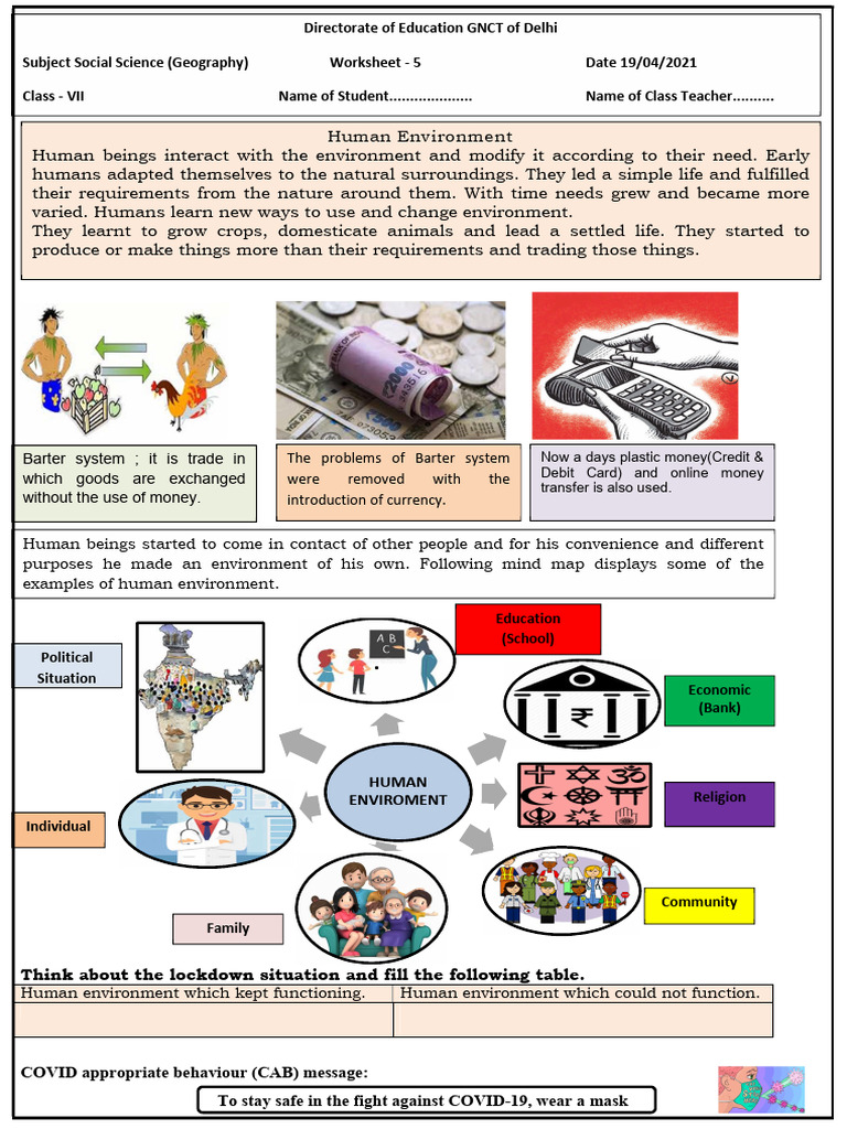 COVID Safety and Human Environment Guide | PDF | Grammatical Number ...