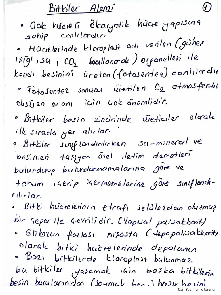 Bitkiler ve Mantarlar Alemi Òzellikleri | PDF