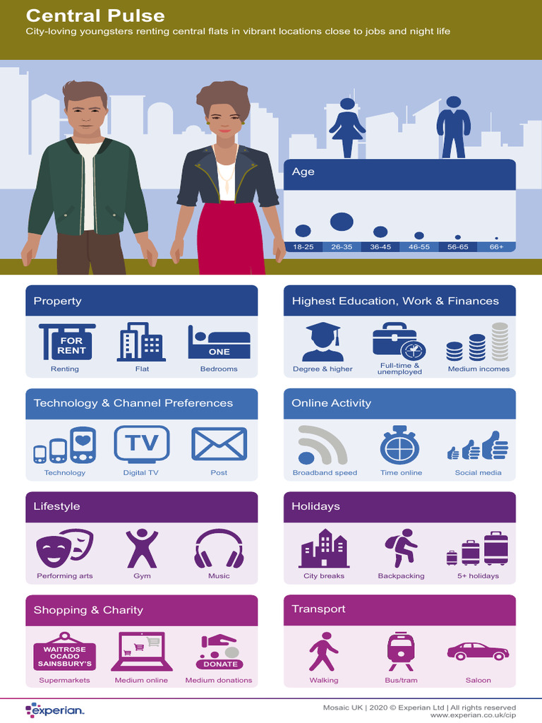 Experian Mosaic Portrait | PDF