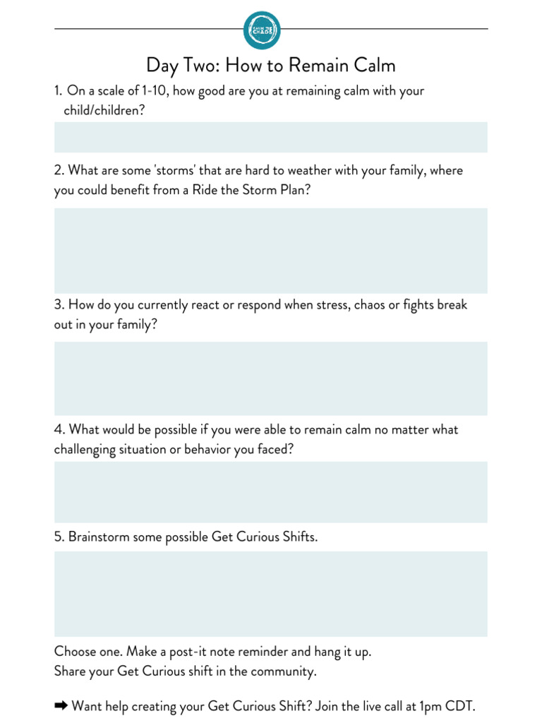 7 Days to Less Chaos Workshop Day 2 Workbook | PDF