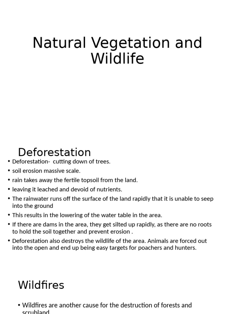 Natural Vegetation and Wildlife | PDF | Forests | Wildlife