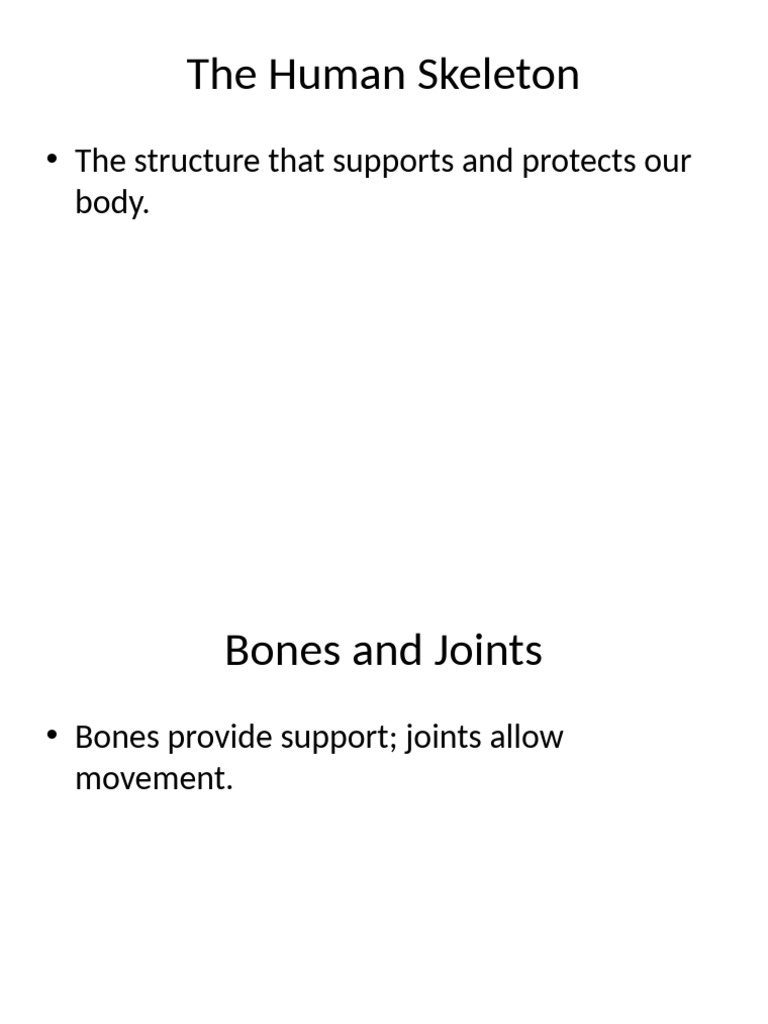 The_Human_Skeleton | PDF