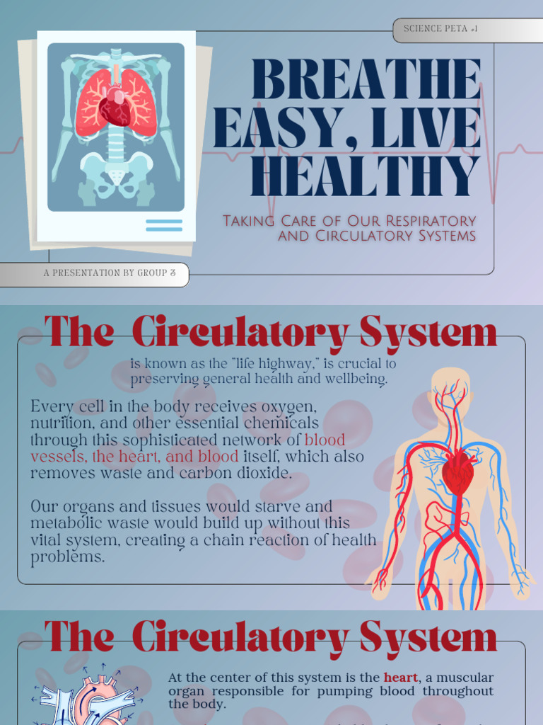Grade 9 Respiratory & Circulatory Systems | PDF | Respiratory System ...