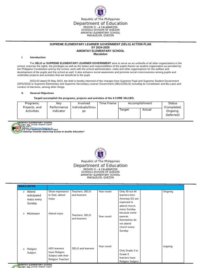 Selg-Action Plan - 2024-2025 | PDF