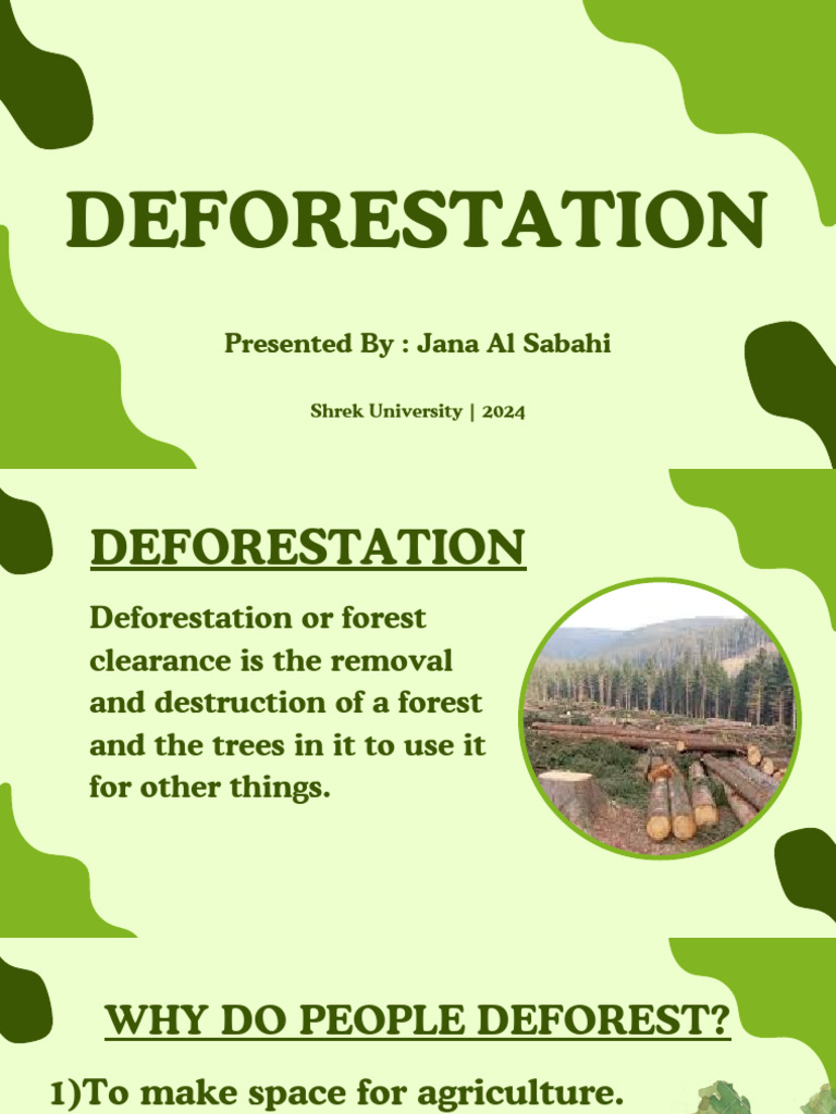Causes and Solutions of Deforestation | PDF