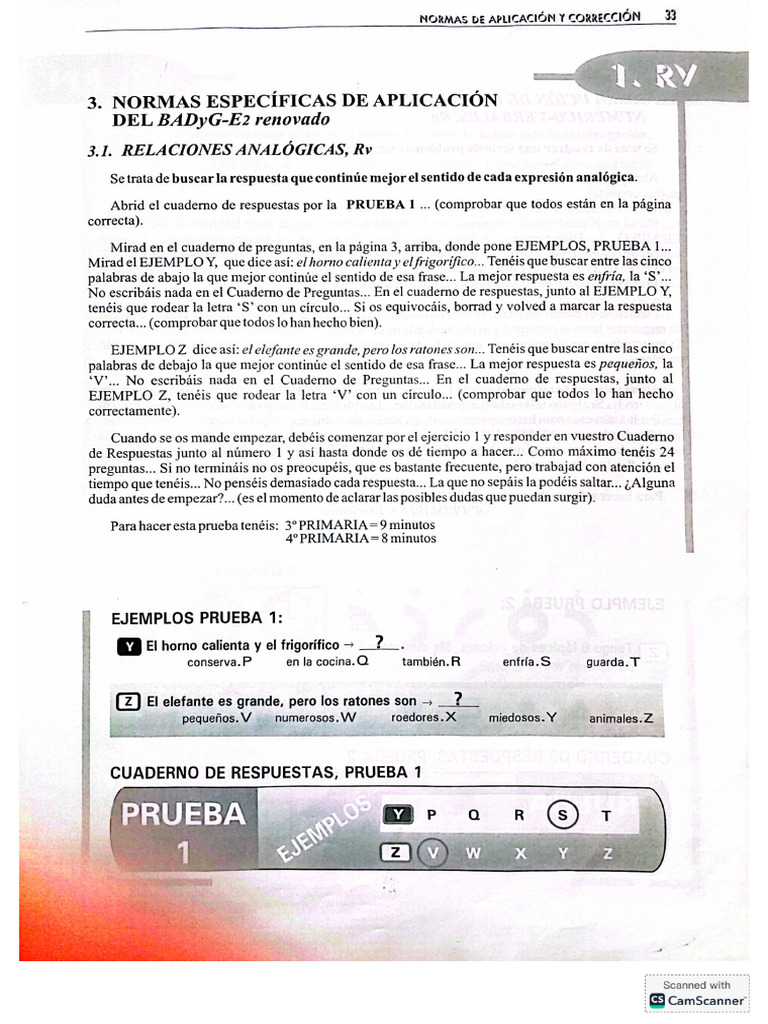 Manual Badyg E2 | PDF