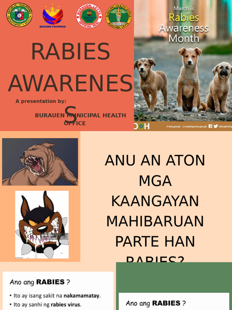Rabies Awareness PPT for March 4 Launching Arado | PDF
