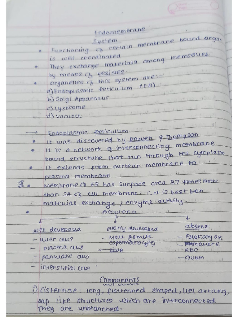 Cell - Notes | PDF