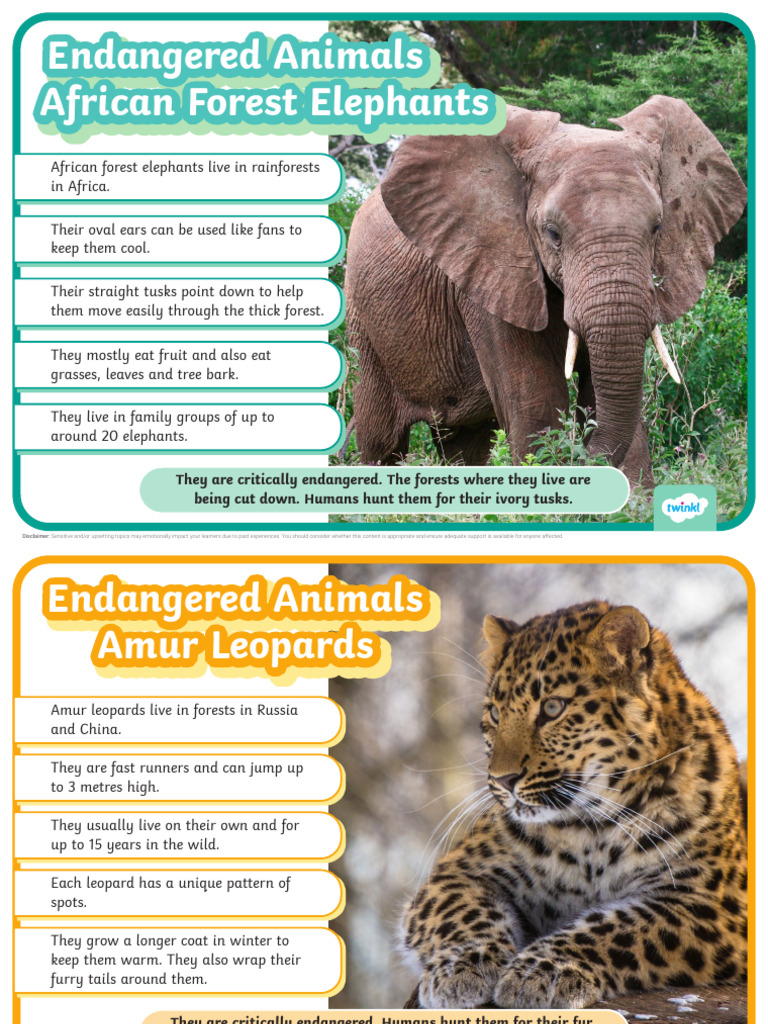 Endangered-Animals-Posters Ver 2 | PDF | Elephant | Endangered Species