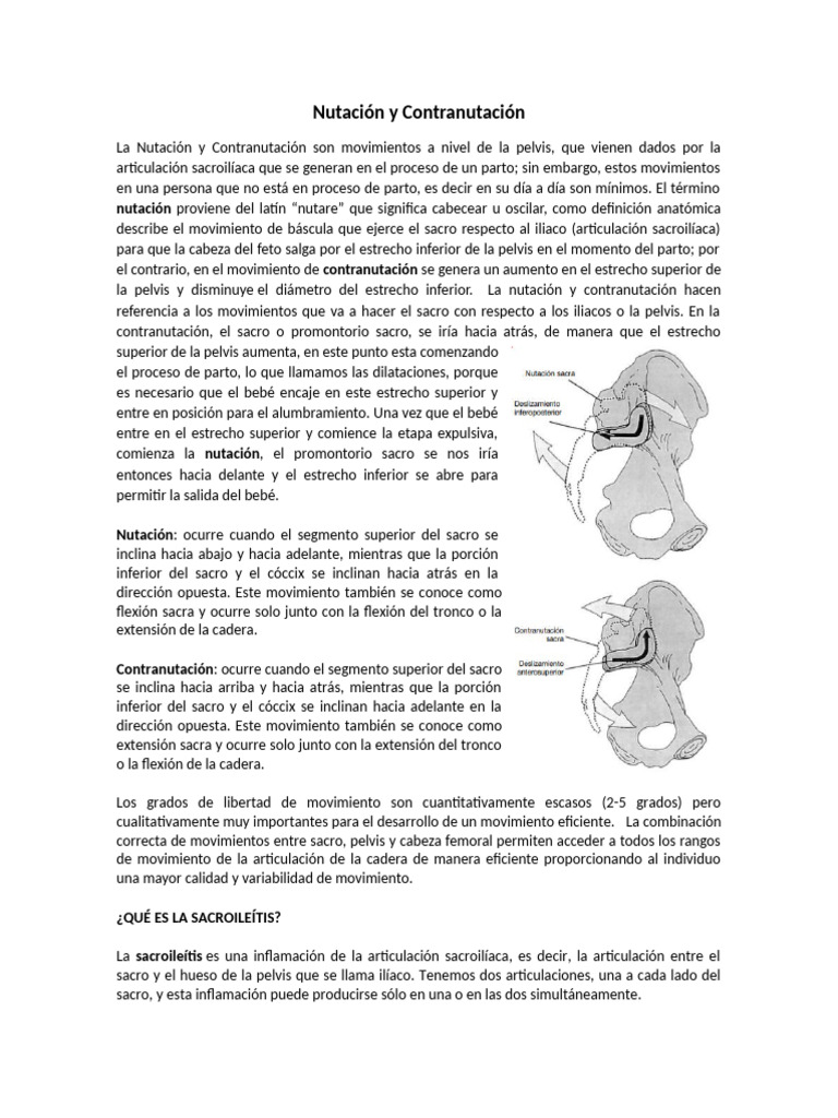 Nutación y Contranutación en la Pelvis | PDF | Pelvis | Sistema esquelético