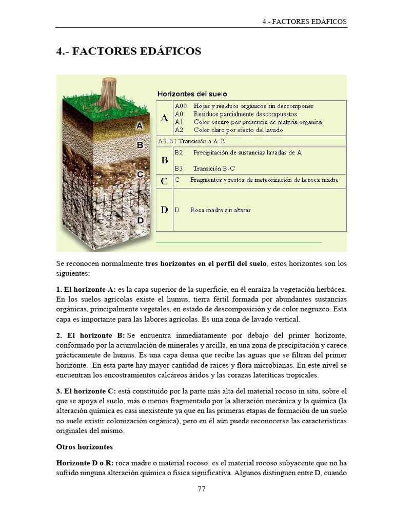 Factores Edáficos del Suelo: Horizontes y Propiedades | PDF | Suelo