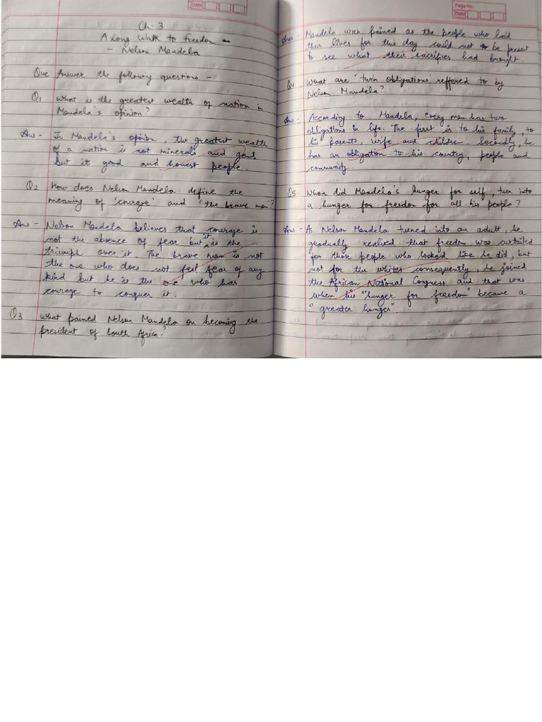 Chapter 2 English Question,Summary | PDF