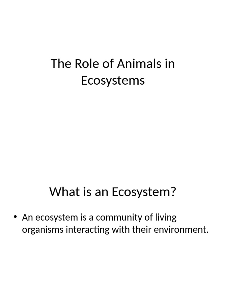 Importance of Animals in Ecosystems | PDF