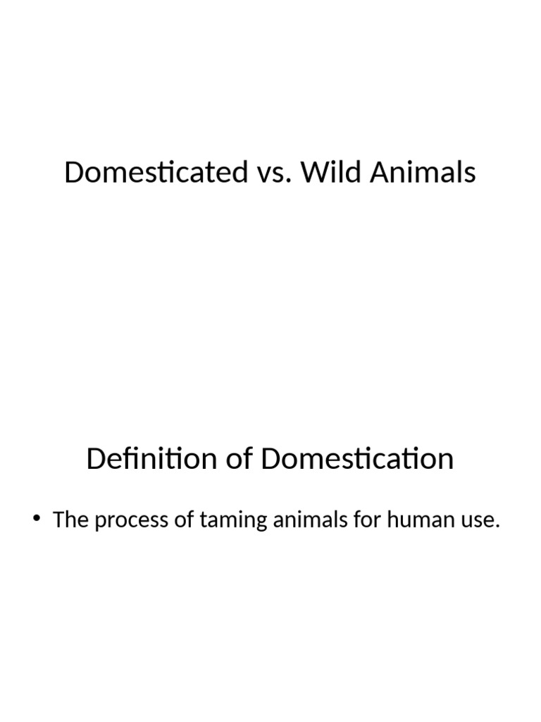 Domesticated_vs._Wild_Animals | PDF