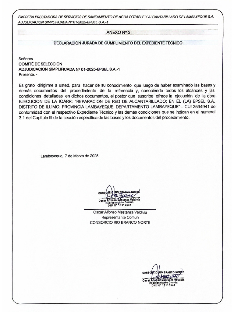 Anexo 3 | PDF