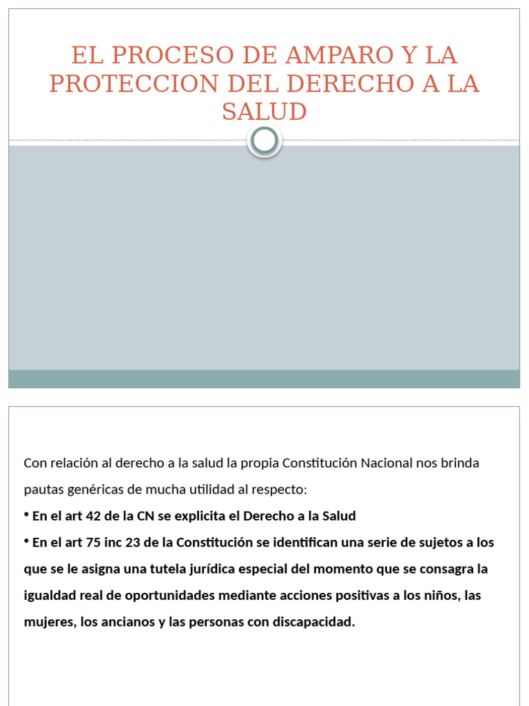 Proceso de Amparo Presentacion | PDF | Mandato | Demanda judicial