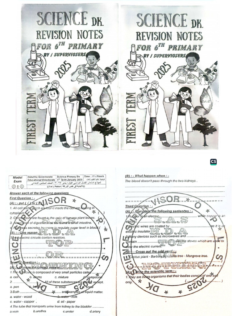 Final Revision prim 6 - 2025 التوجيه | PDF