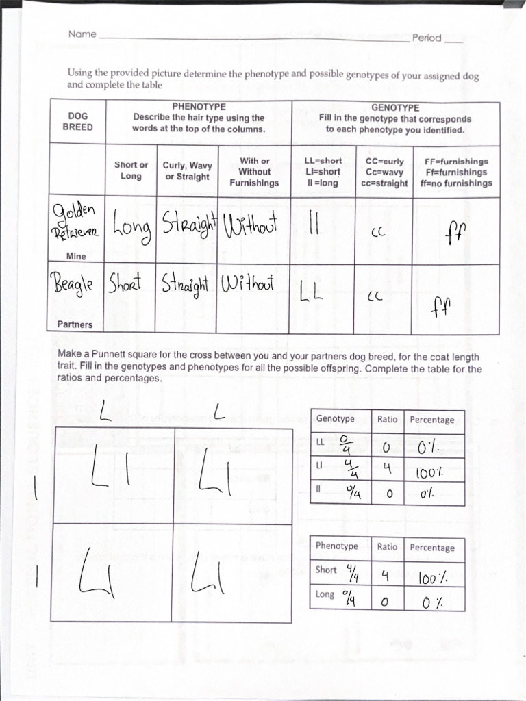 Complete Dominance - Genotype and Phenotype Practice | PDF