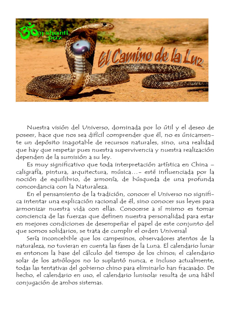 Oráculo-Serpiente de Metal - Camino Hacia La Luz 6 | PDF | Castidad | Vejez