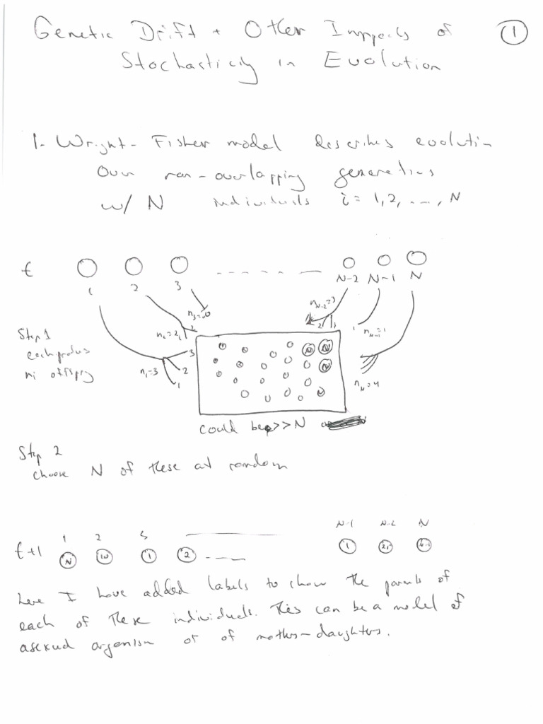 Lecture10 Board Biol8804 f16 | PDF