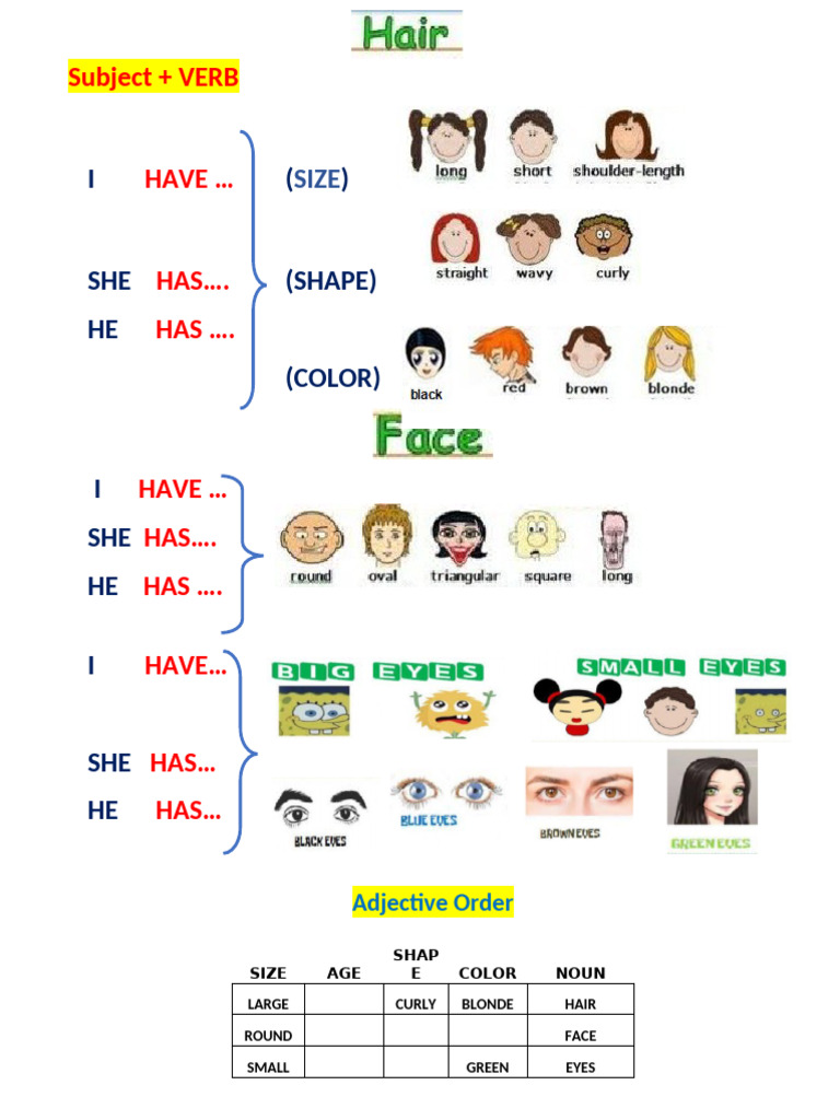 hair - eyes - face vocabulary descriptions - sordos | PDF