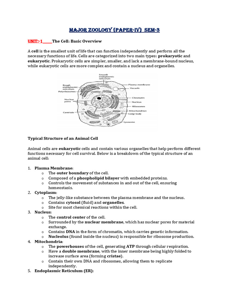 MJ_ZOOLOGY SEM_3 | PDF | Meiosis | Cell Cycle
