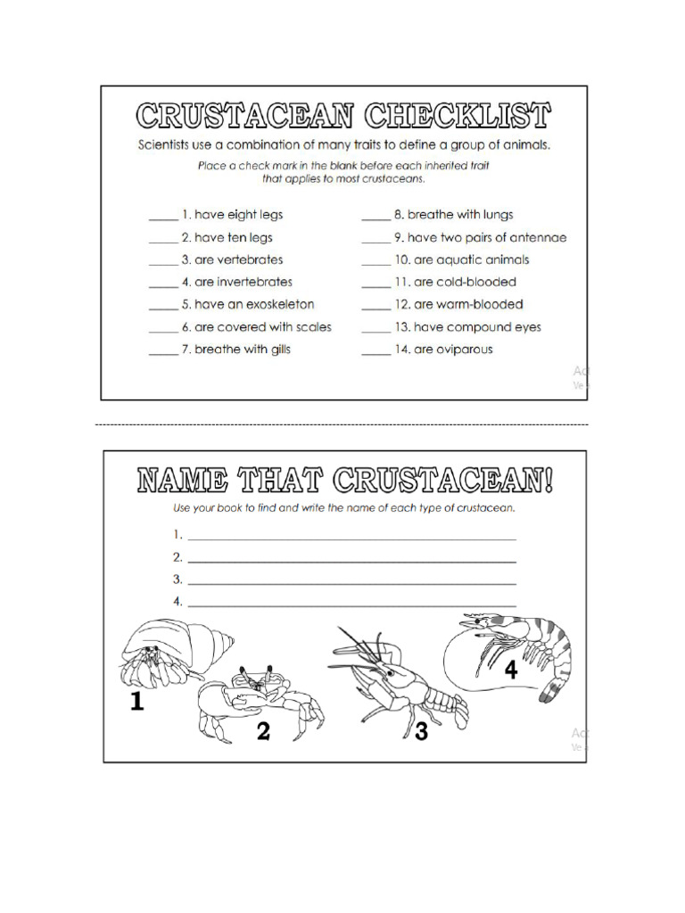 Crustaceans | PDF