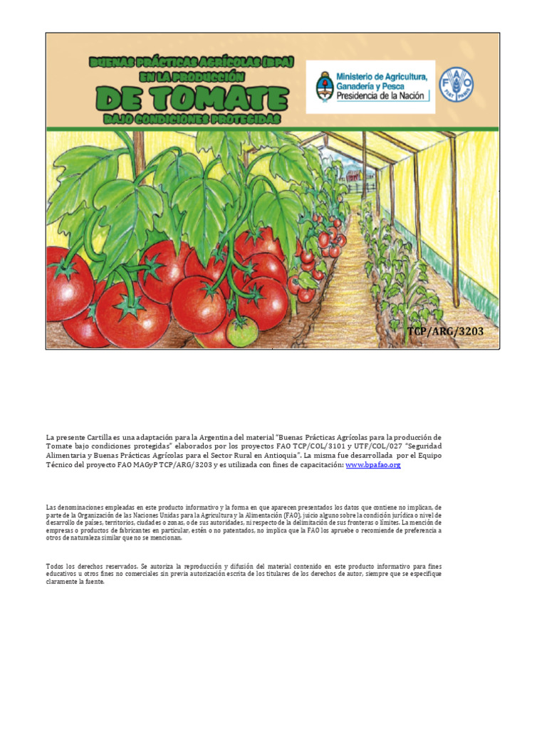 Cartilla Del Tomate | PDF | Agricultura | Organización de Comida y Agricultura